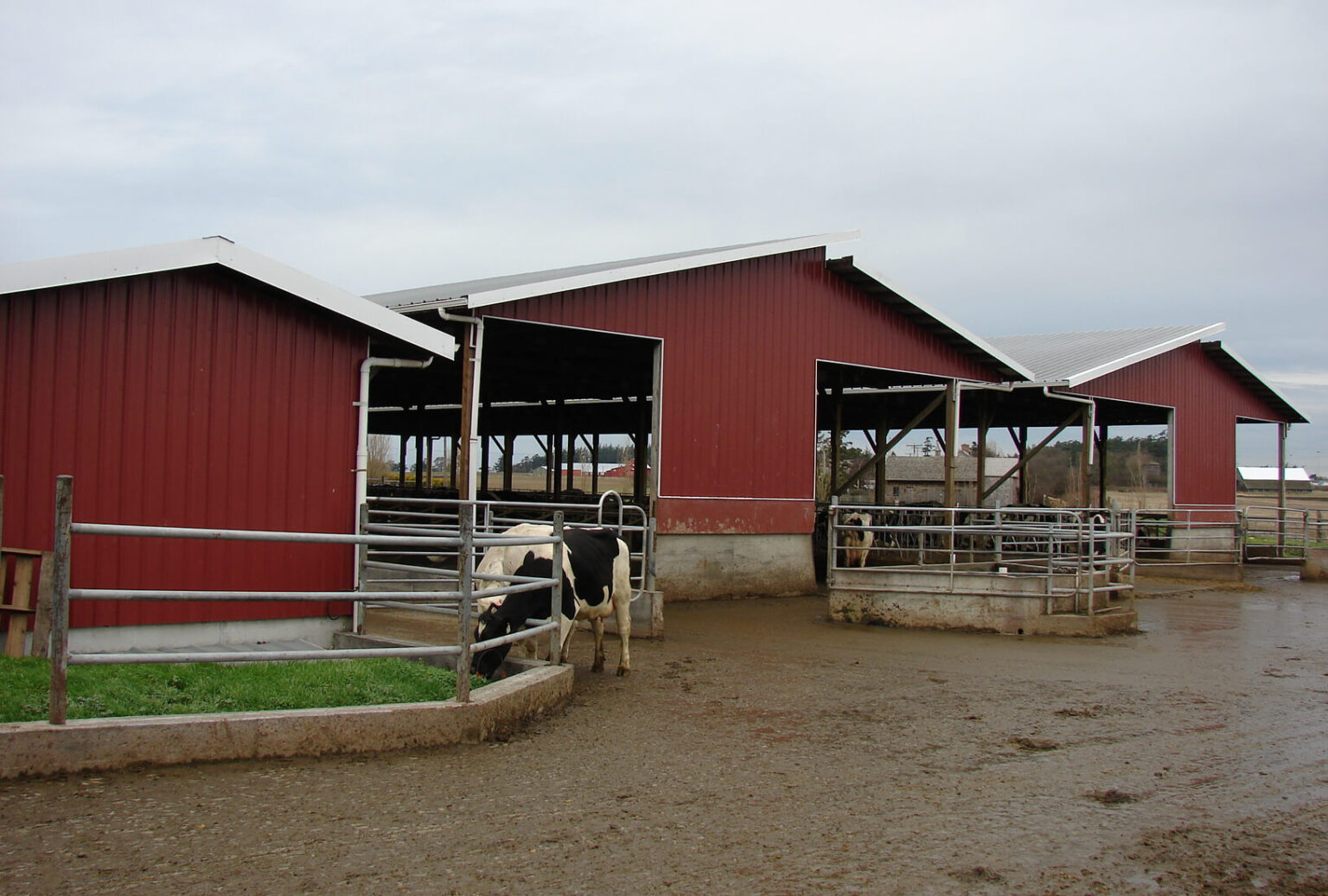 Sturdy Engineering Corporation