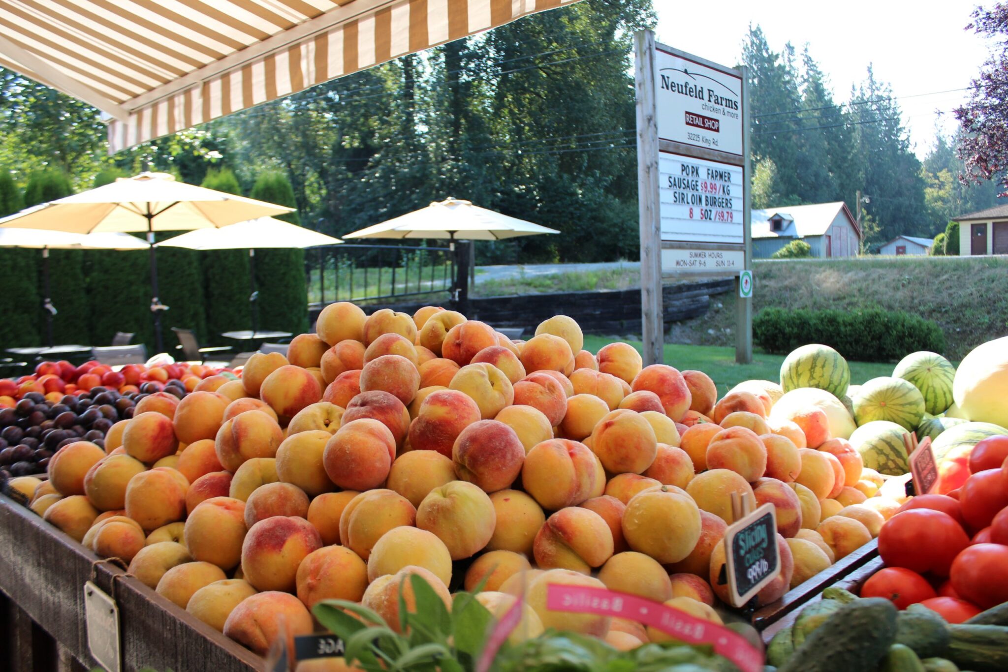 The Berry Barn - Neufeld Farm Market in Abbotsford, BC