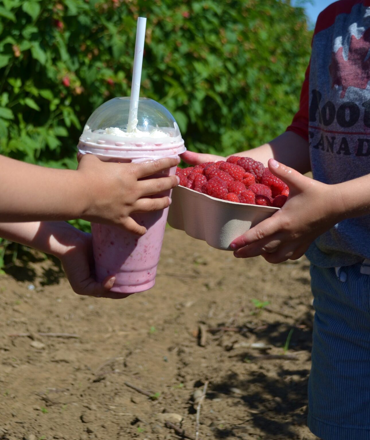 The Berry Barn - Neufeld Farm Market in Abbotsford, BC