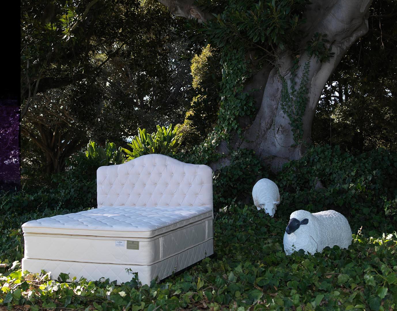 Premium Mattress Brands - Santa Barbara CA