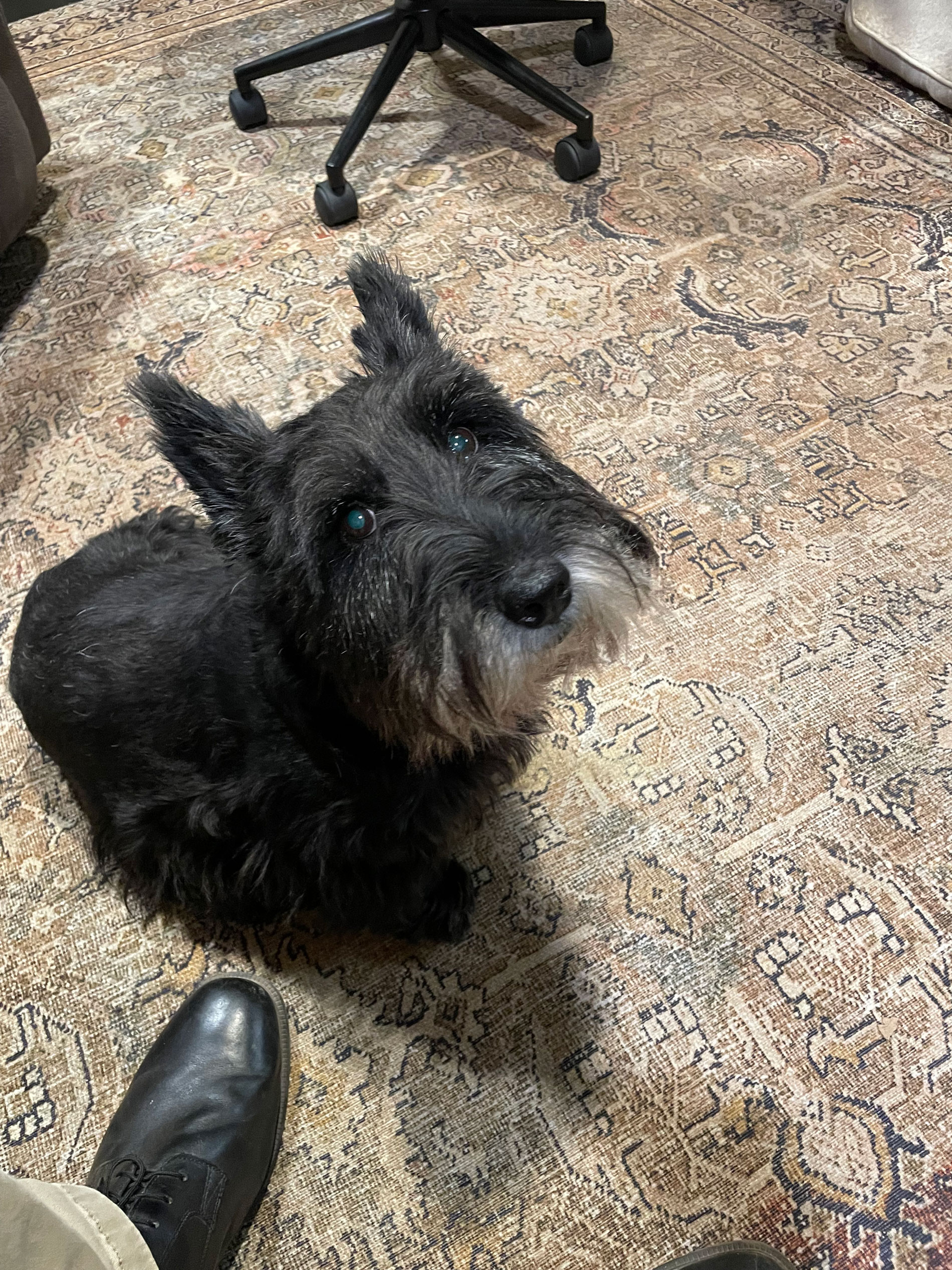 Home - Harrison's Pub & Grill