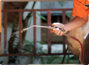 Taylor’s Weed & Pest Control | Pest Control Services in Hobbs, NM